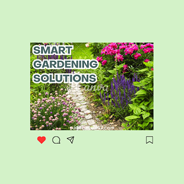 Graduation Gift Ideas: Practical, Fun & Memorable They’ll Love